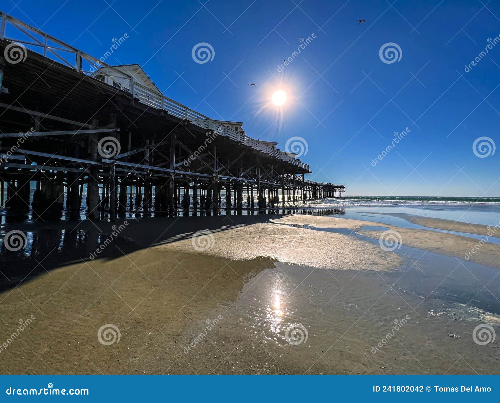 Sunset at crystal pier stock photo. Image of sunset - 241802042