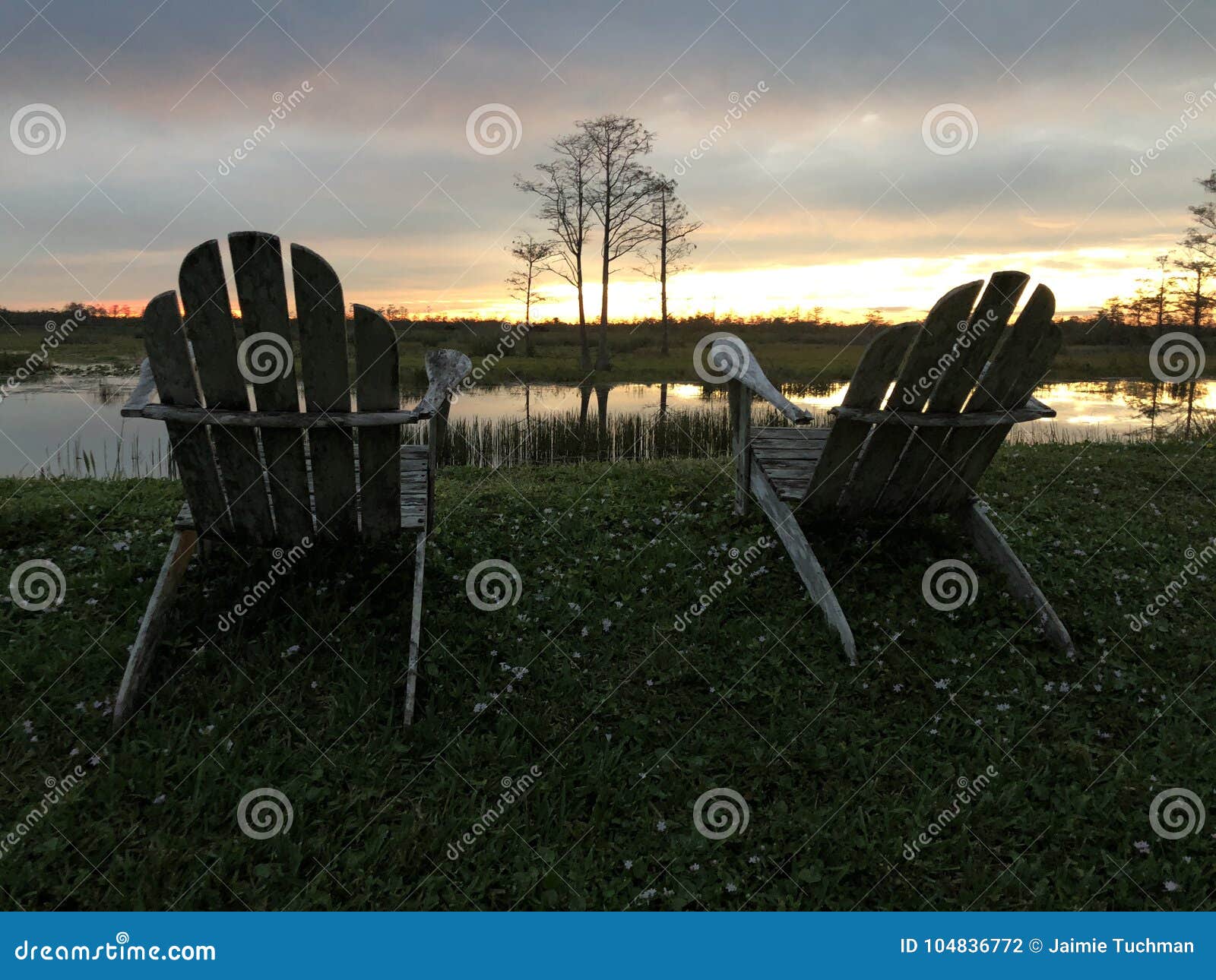 Swamp Sunsets in the Louisiana Marsh Stock Photo - Image of everglades ...