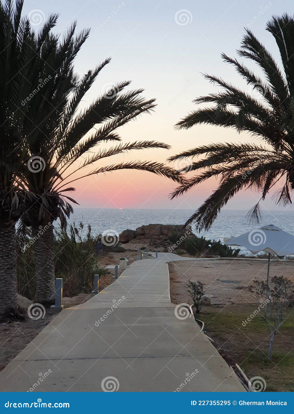 Sunset in cyprus stock image. Image of tree, ocean, places - 227355295