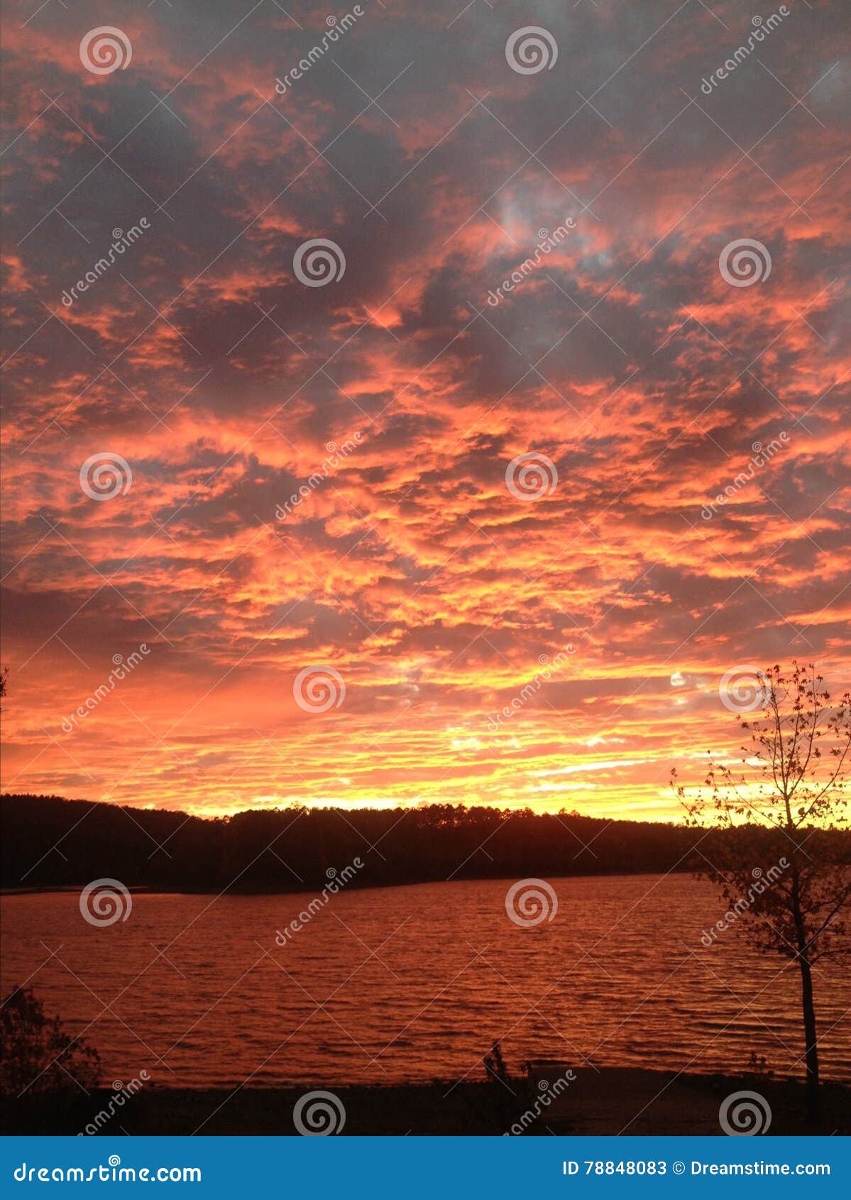 Sunset stock image. Image of state, arkansas, park, daisy - 78848083