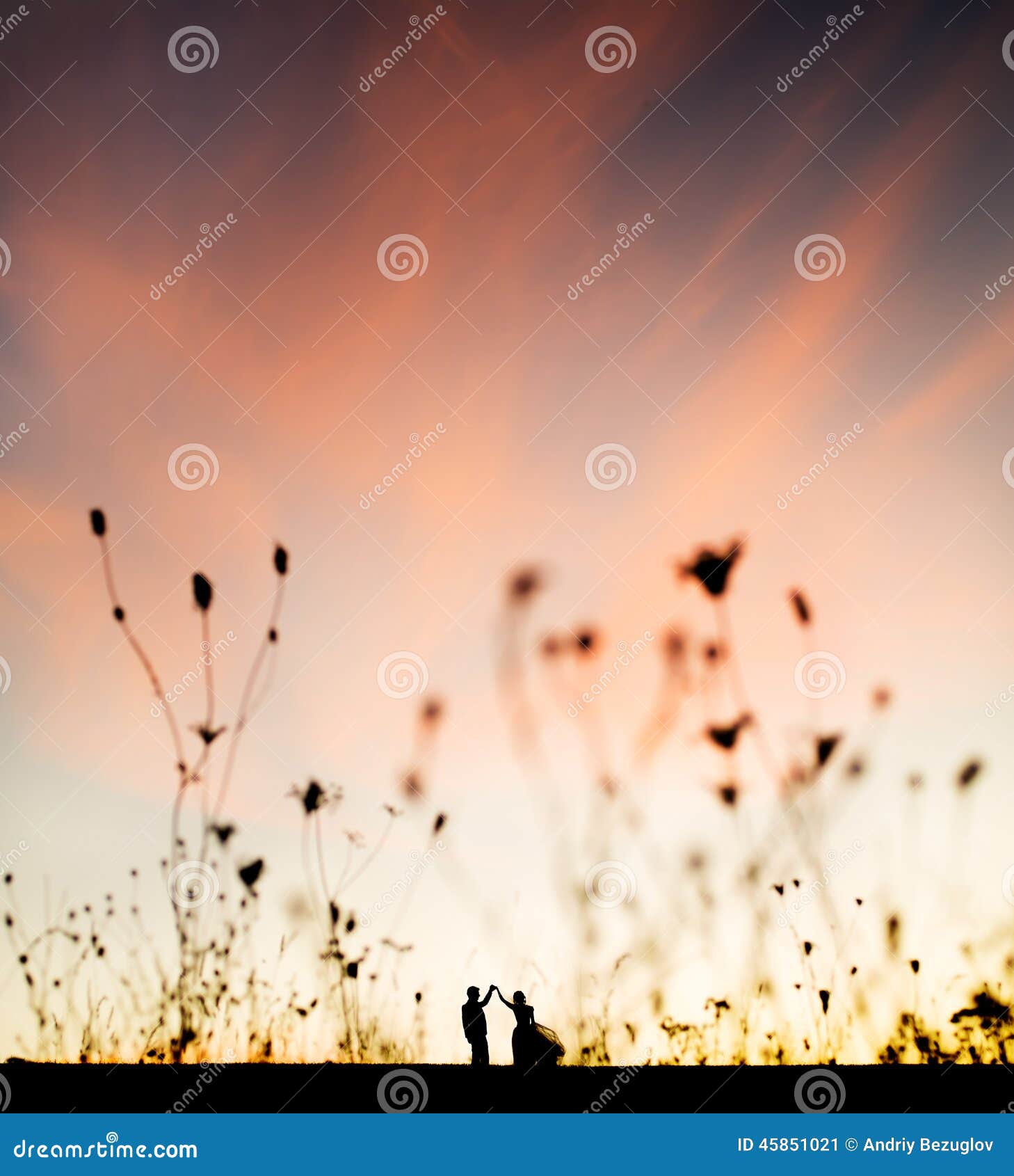 Sunset dancing stock image. Image of field, bride, couple - 45851021