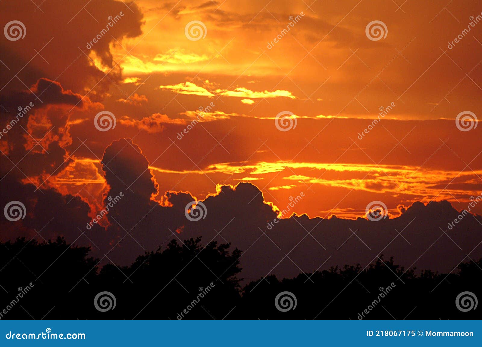 Sunset with Dark Clouds and Treeline Silhouette Stock Image - Image of ...