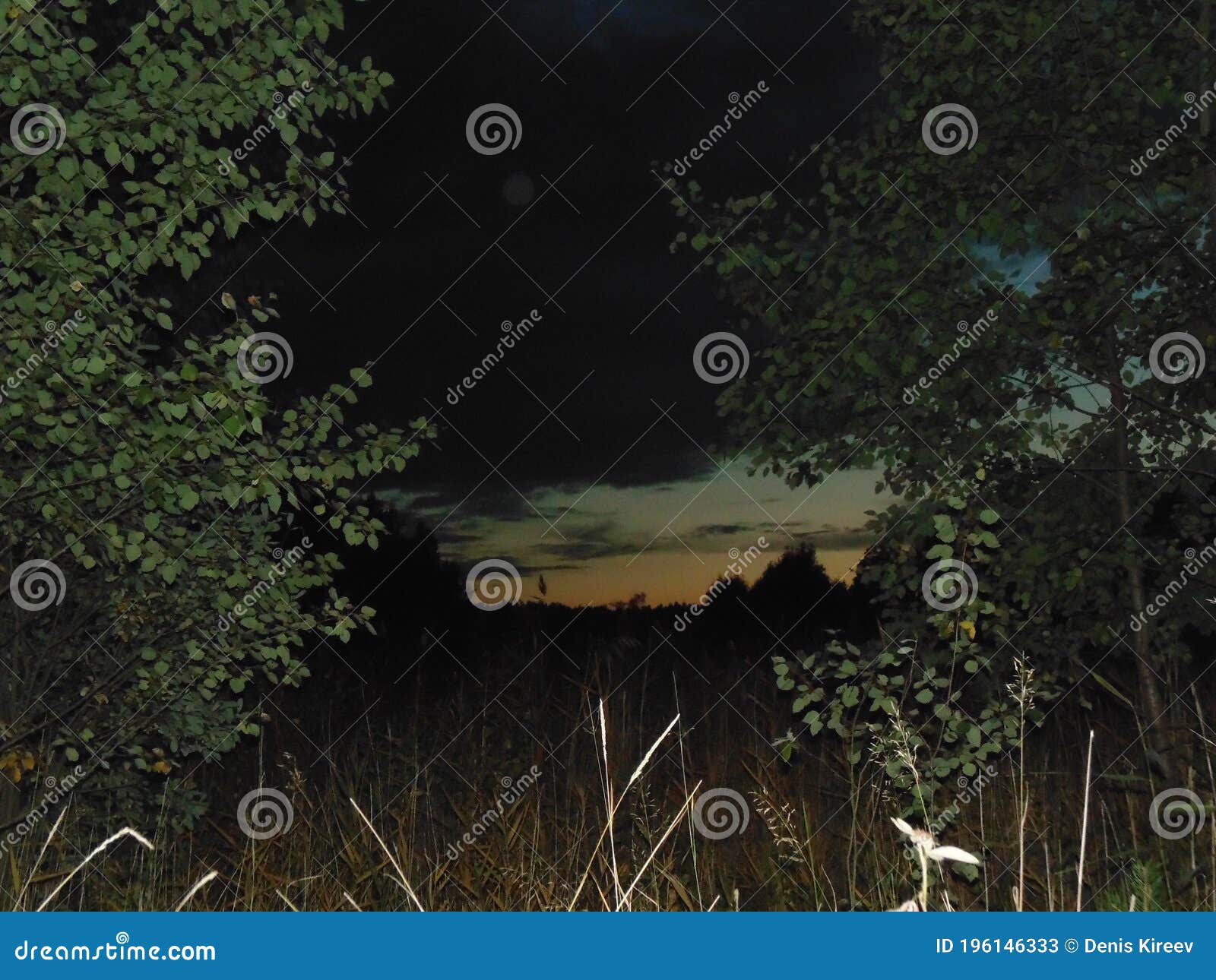 Sunset with dark trees stock image. Image of evening - 196146333