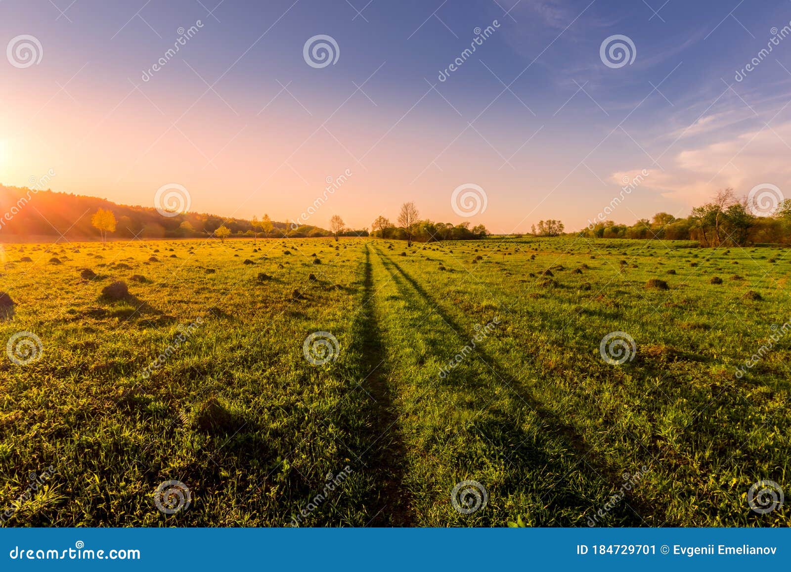 Sunset or Dawn in a Spring Field with Green Grass Stock Image - Image ...