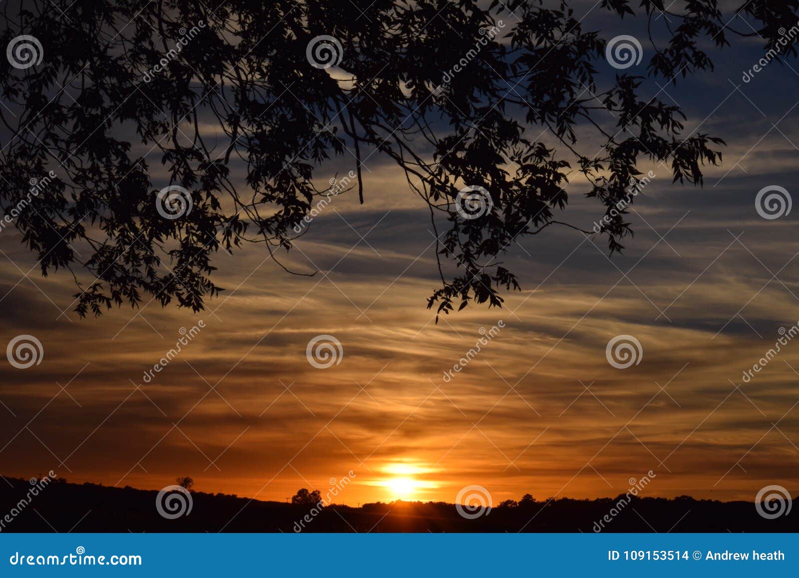 Sunset on Delmarva stock photo. Image of sunset, pecan - 109153514
