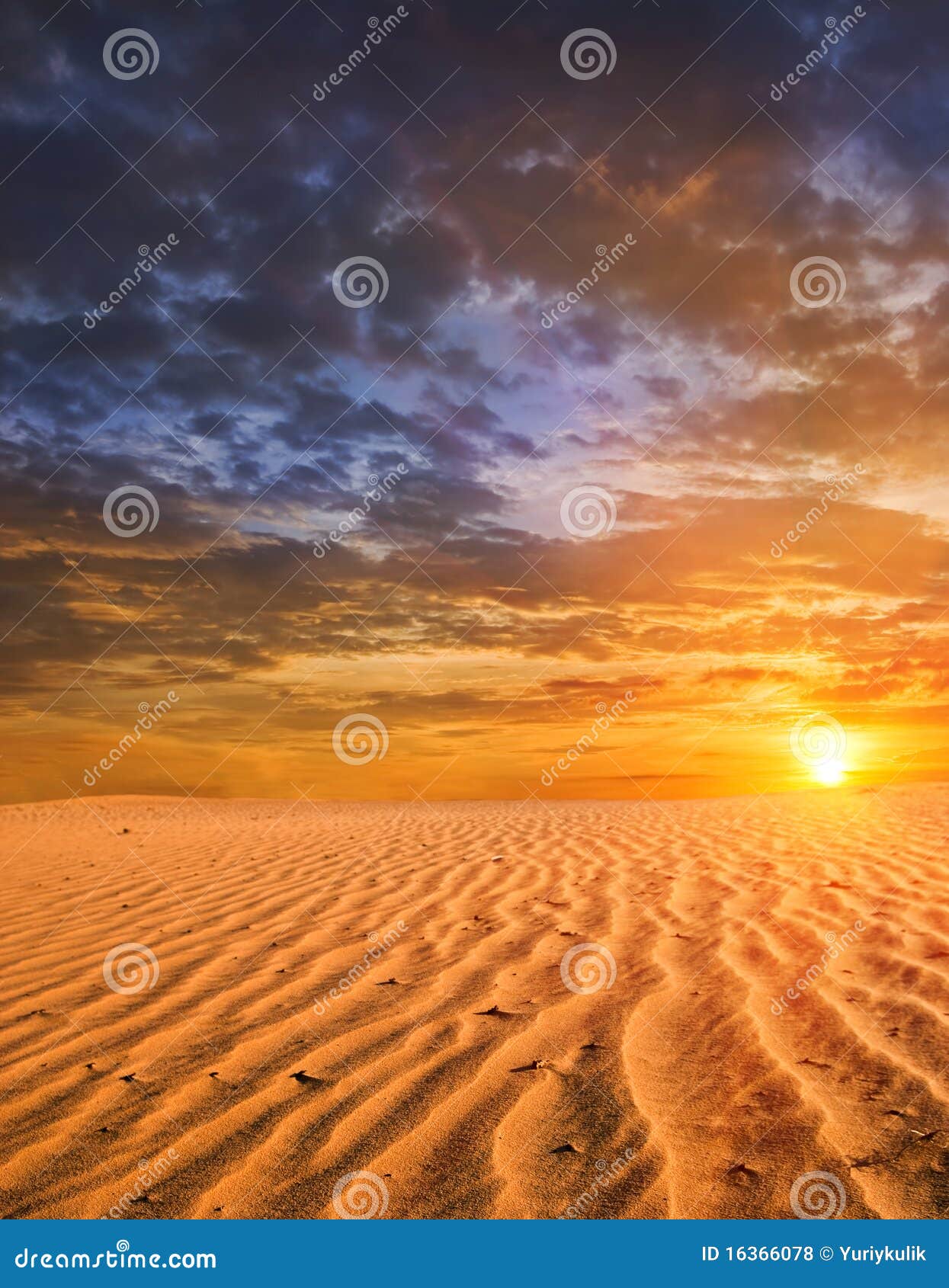 Sunset in a desert stock photo. Image of scene, light - 16366078