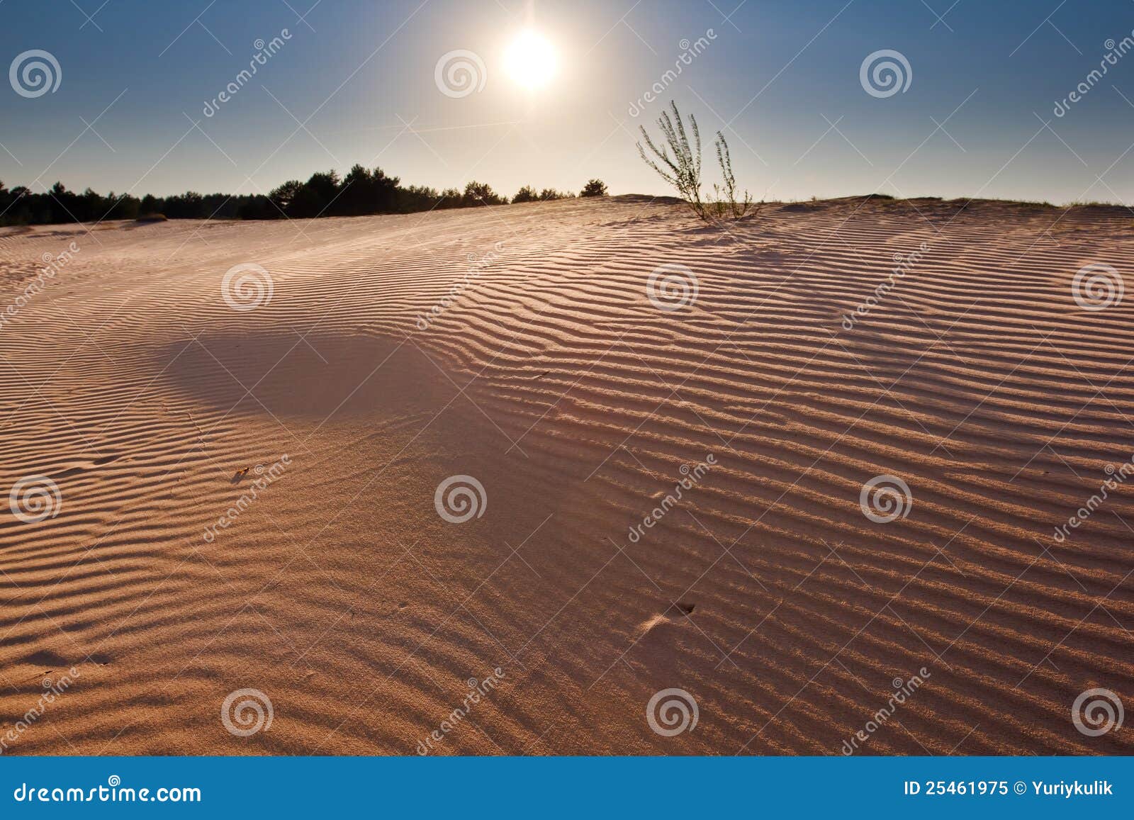 Sunset in a desert stock image. Image of blue, dune, light - 25461975