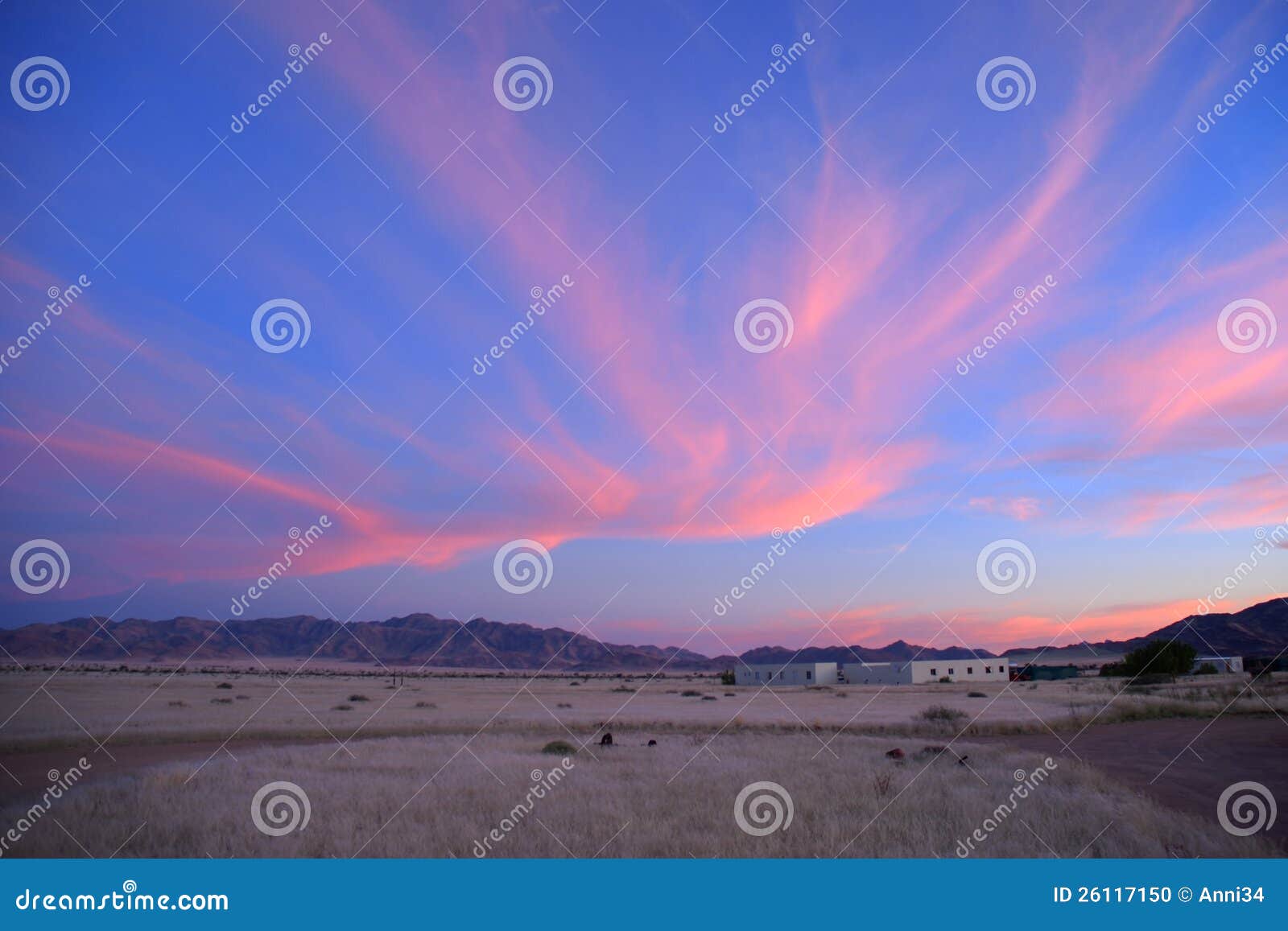 Sunset in the desert stock photo. Image of desert, evening - 26117150