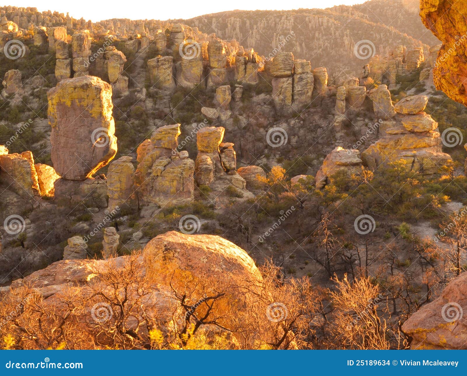Sunset on Desert Cliffs stock photo. Image of scenic - 25189634