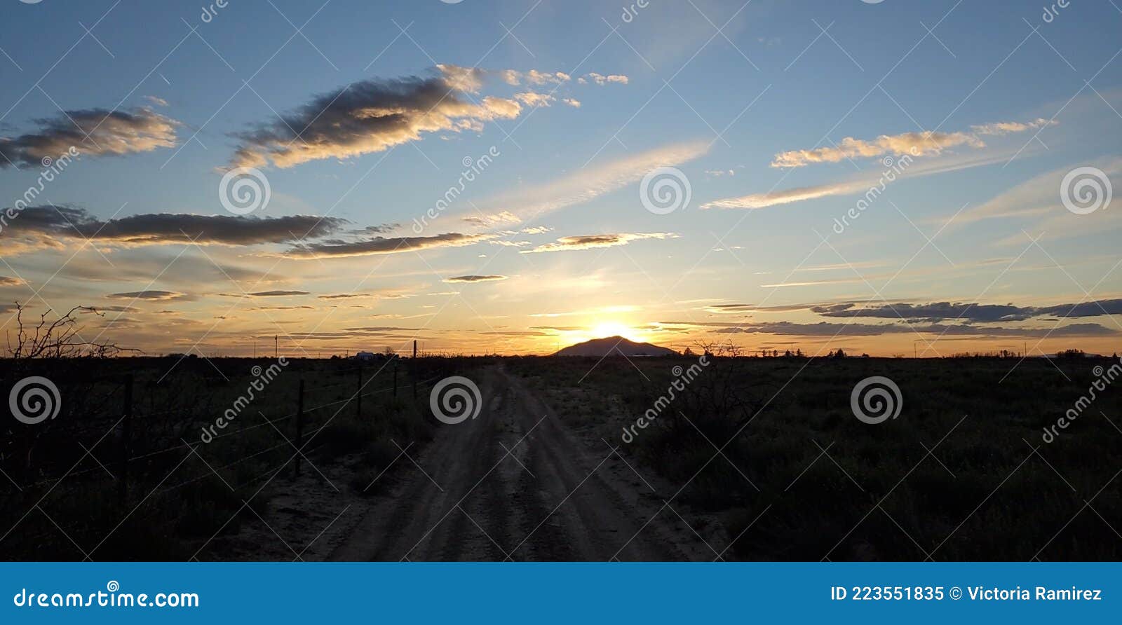 Sunset on a dirt road stock image. Image of morning - 223551835