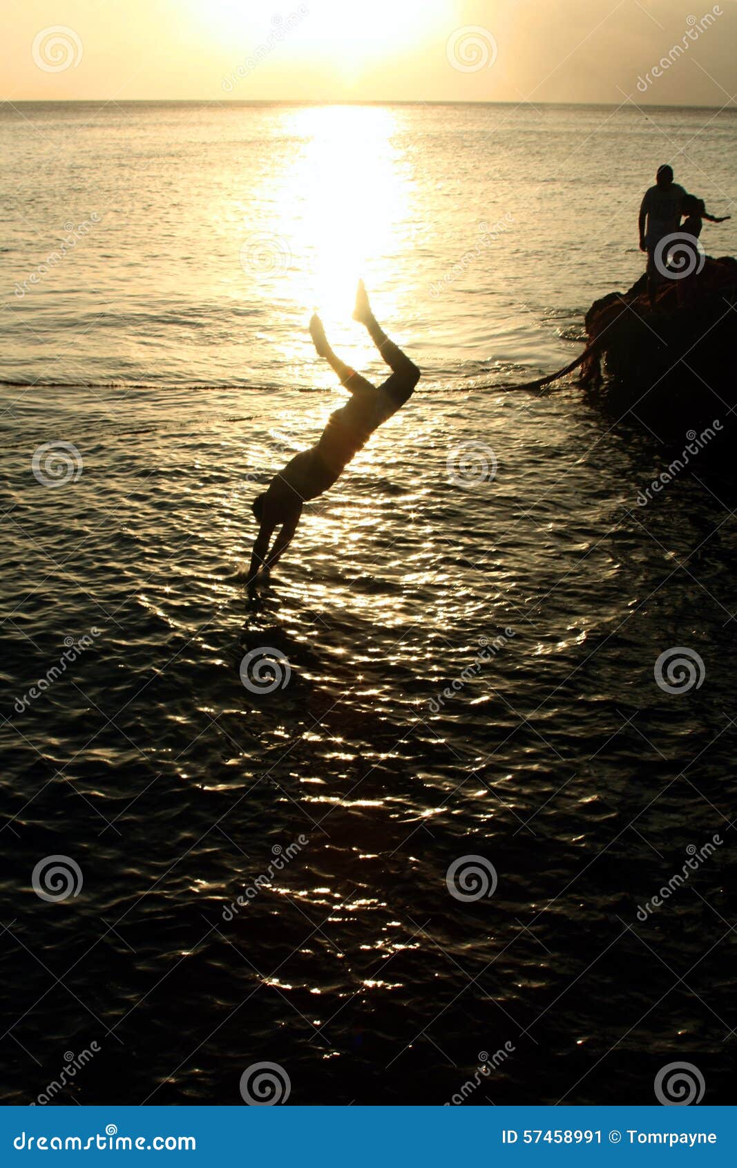 Sunset diving stock image. Image of evening, swimming - 57458991