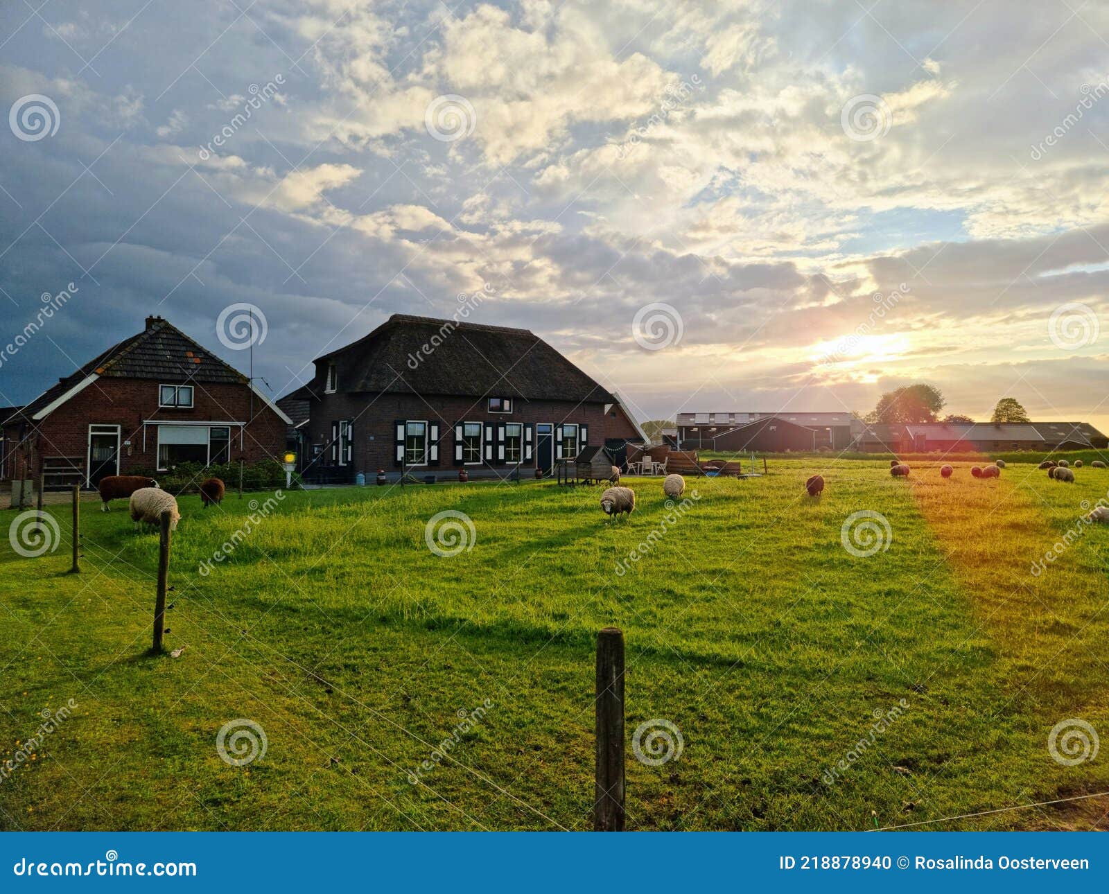 A sunset at a Dutch farm stock photo. Image of cloud - 218878940