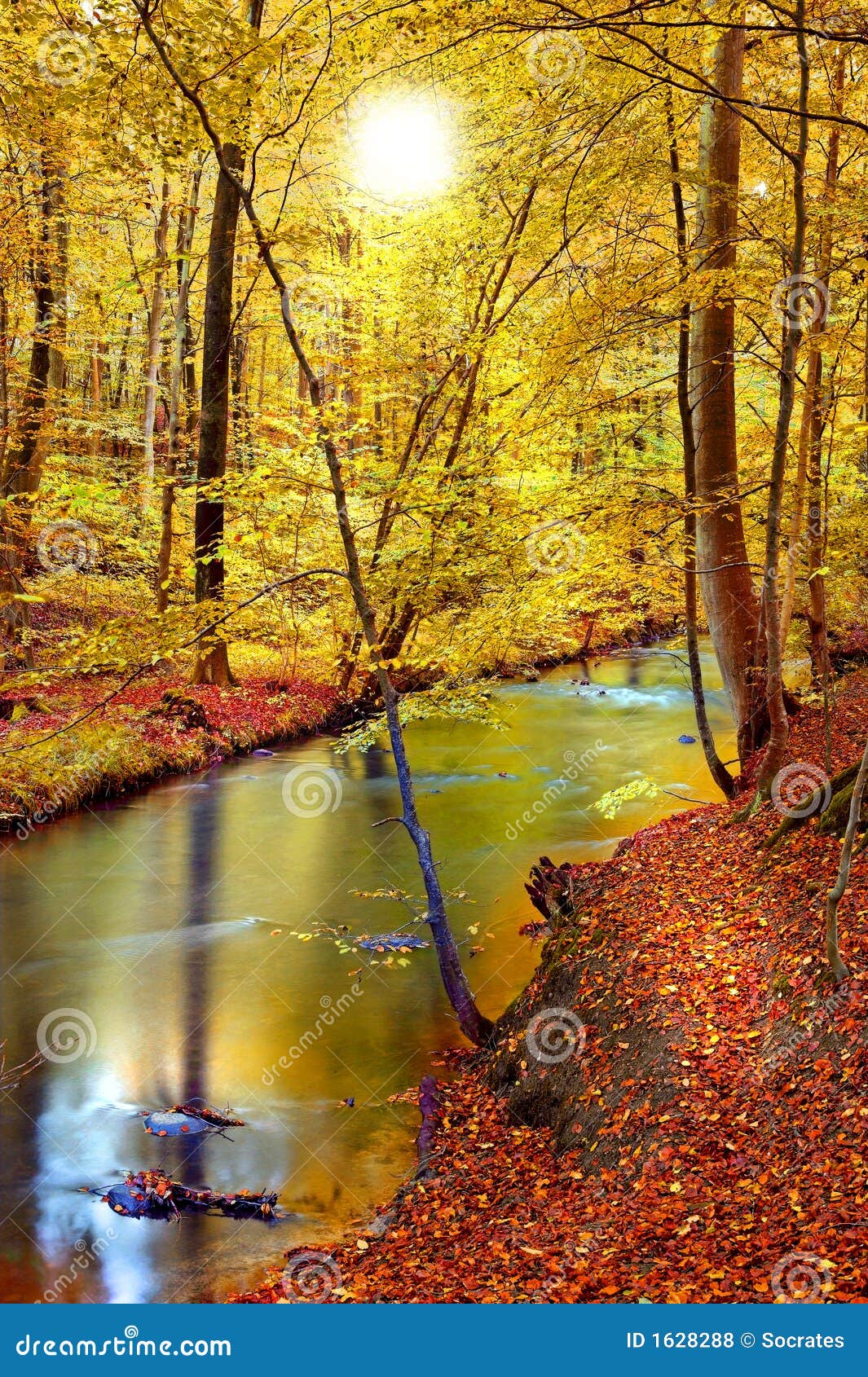 Sunset in early autumn stock photo. Image of gardening - 1628288