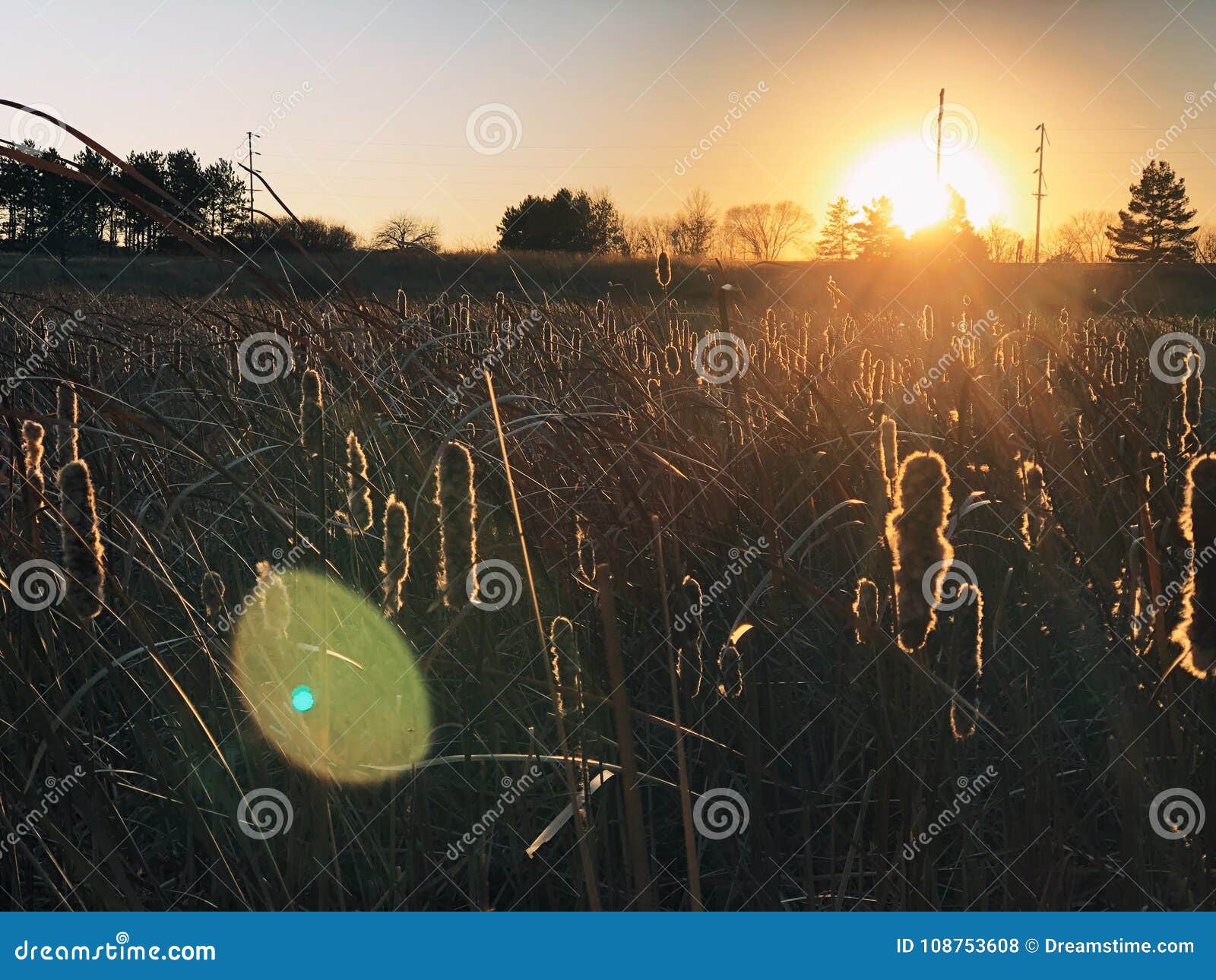 Sunset stock photo. Image of fall, early, sunset, outdoors - 108753608