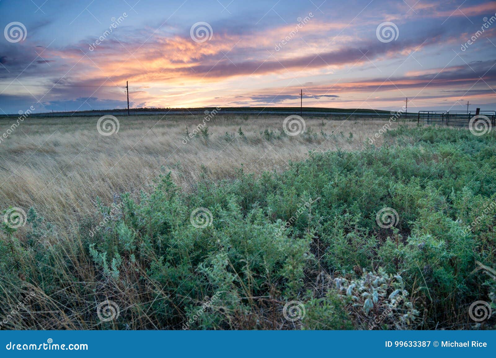 Sunset in Eastern Plains Colorado Stock Image - Image of fields, crop ...