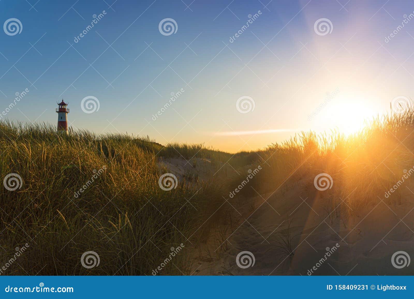 Sunset at Ellenbogen Beach stock image. Image of beautiful - 158409231