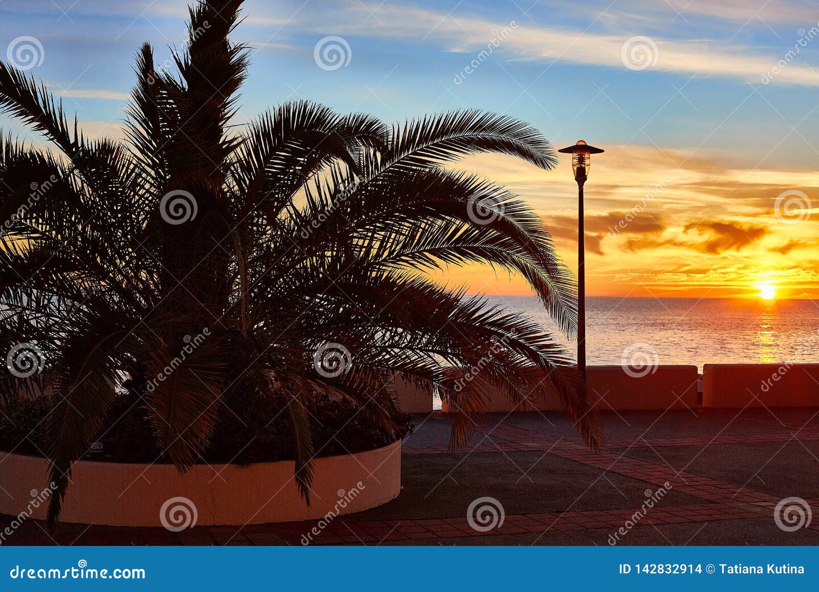 Sunset, Empty Beach with Palm Tree and Lantern Stock Photo - Image of ...