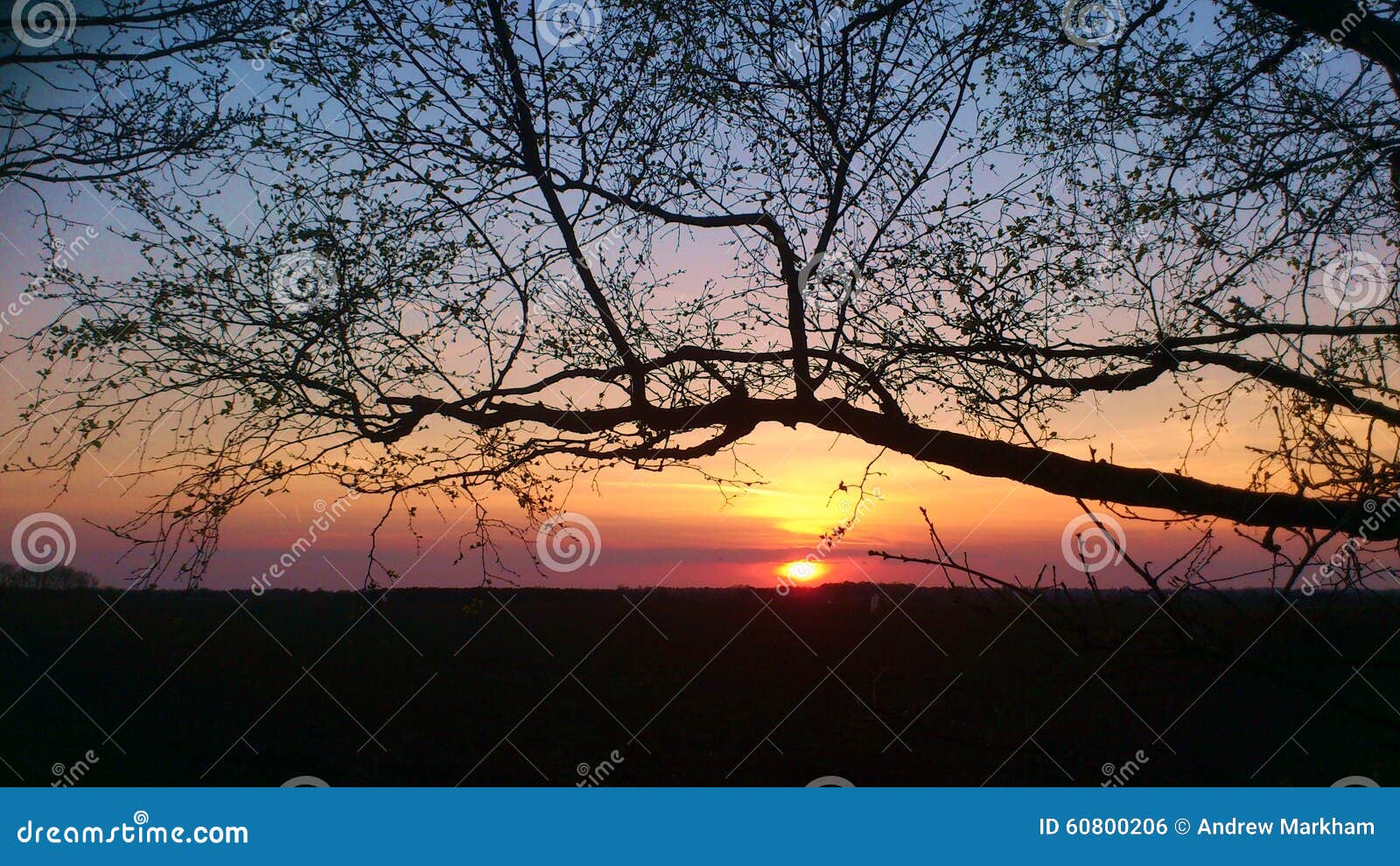 Sunset in England stock photo. Image of sunset, england - 60800206