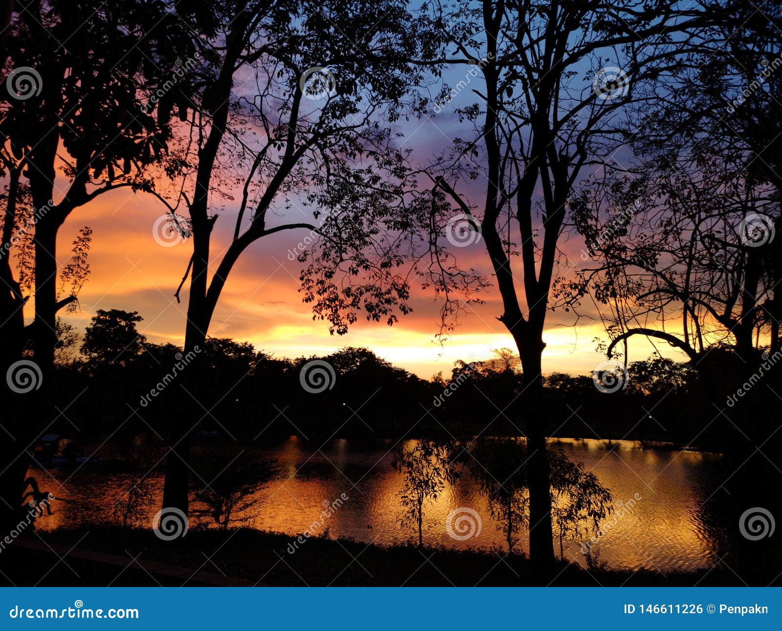 Sunset Evening Behind Shadow Black Tree Stock Photo - Image of ...