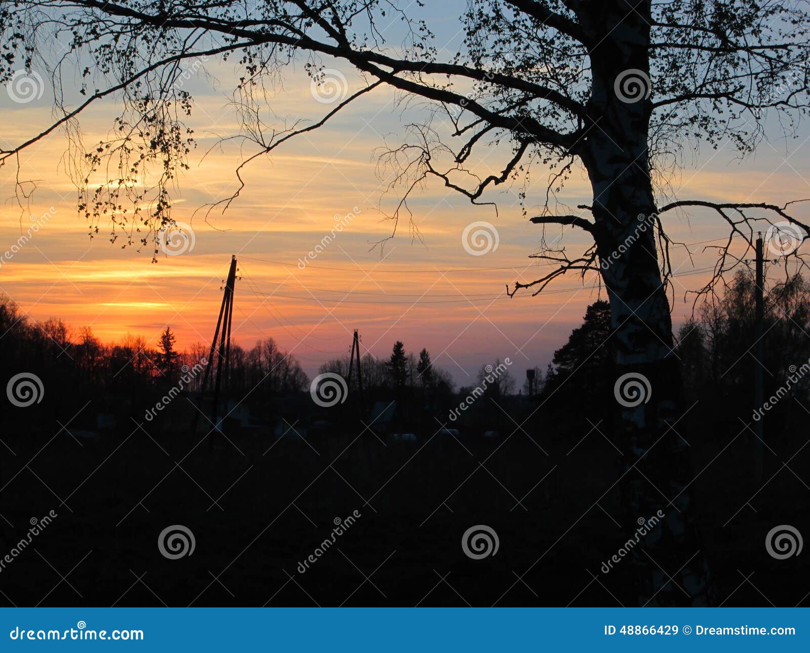 Sunset stock image. Image of beautiful, trees, wires - 48866429