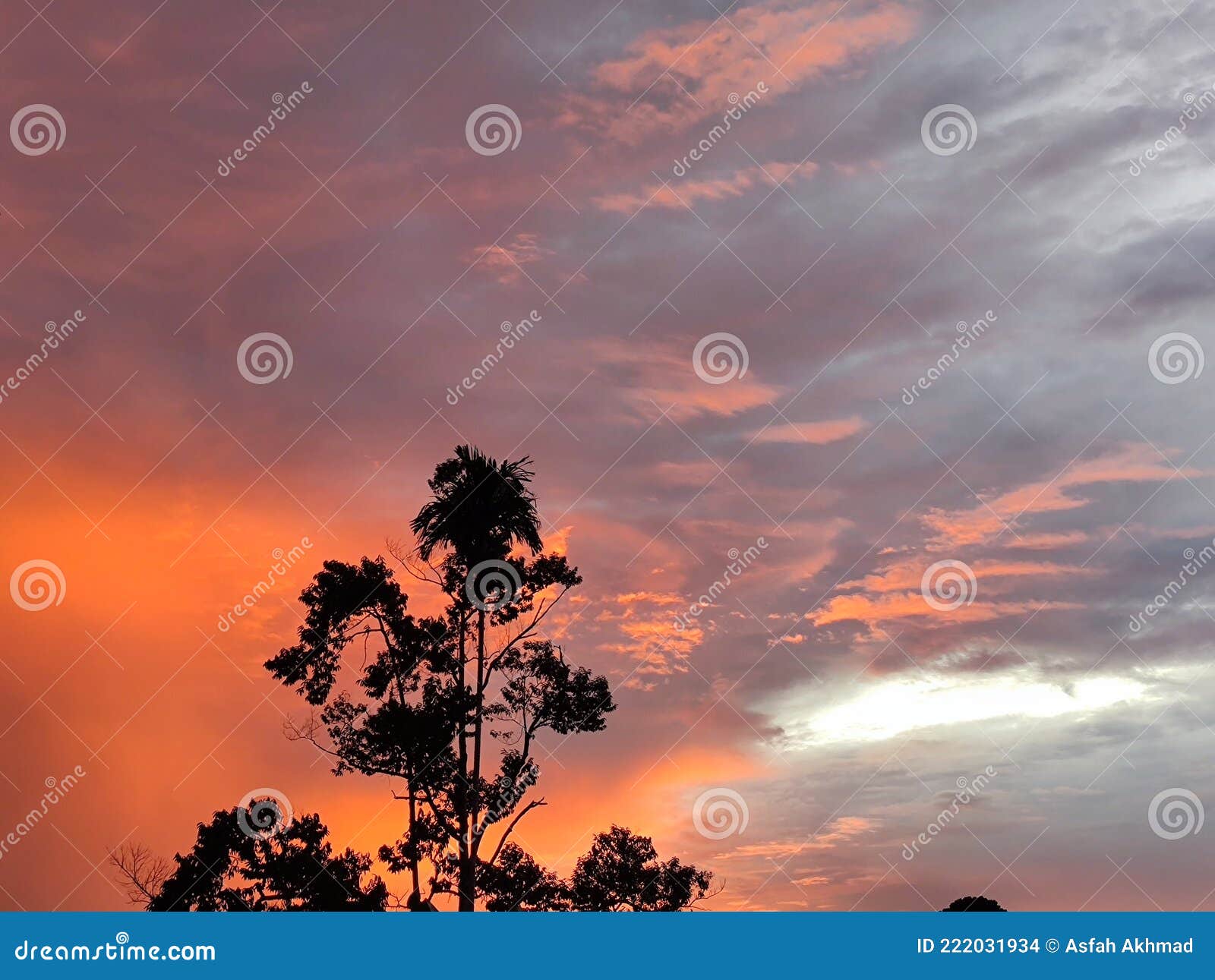 Sunset on evening day stock photo. Image of colours - 222031934