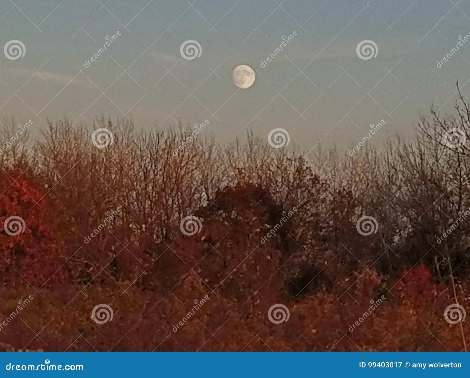 Autumn Moon Over the Prairie Stock Image - Image of earthy, fall: 99403017