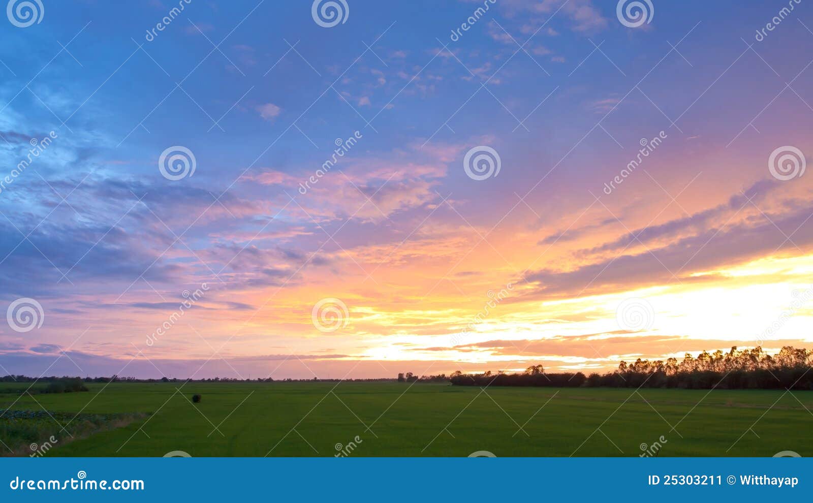 Sunset and farm stock image. Image of plantation, natural - 25303211