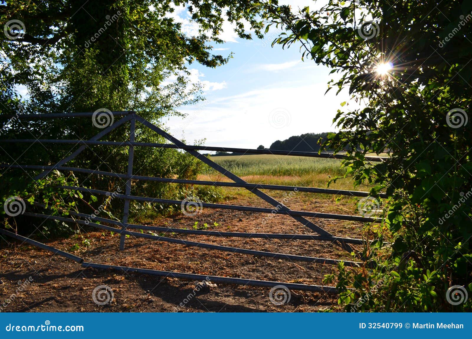 Sunset on a farm stock image. Image of field, evening - 32540799