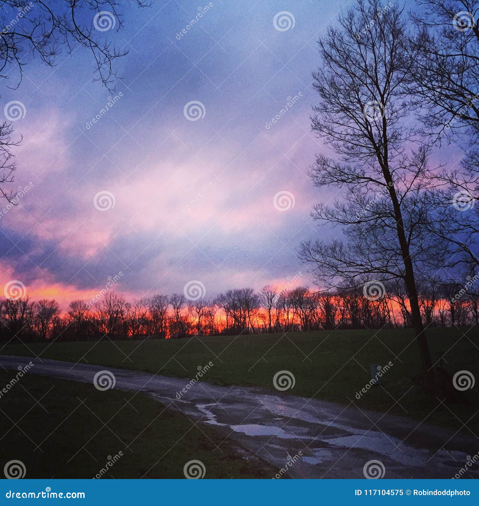 Sunset on a Farm stock image. Image of sunset, setting - 117104575