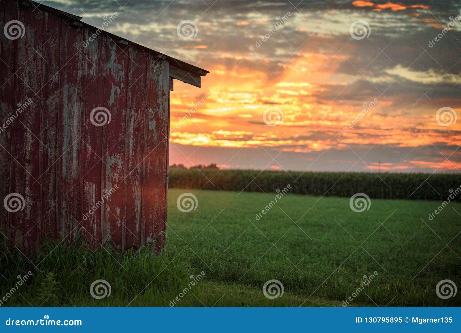 Sunset on the farm stock image. Image of sunset, colorful - 130795895