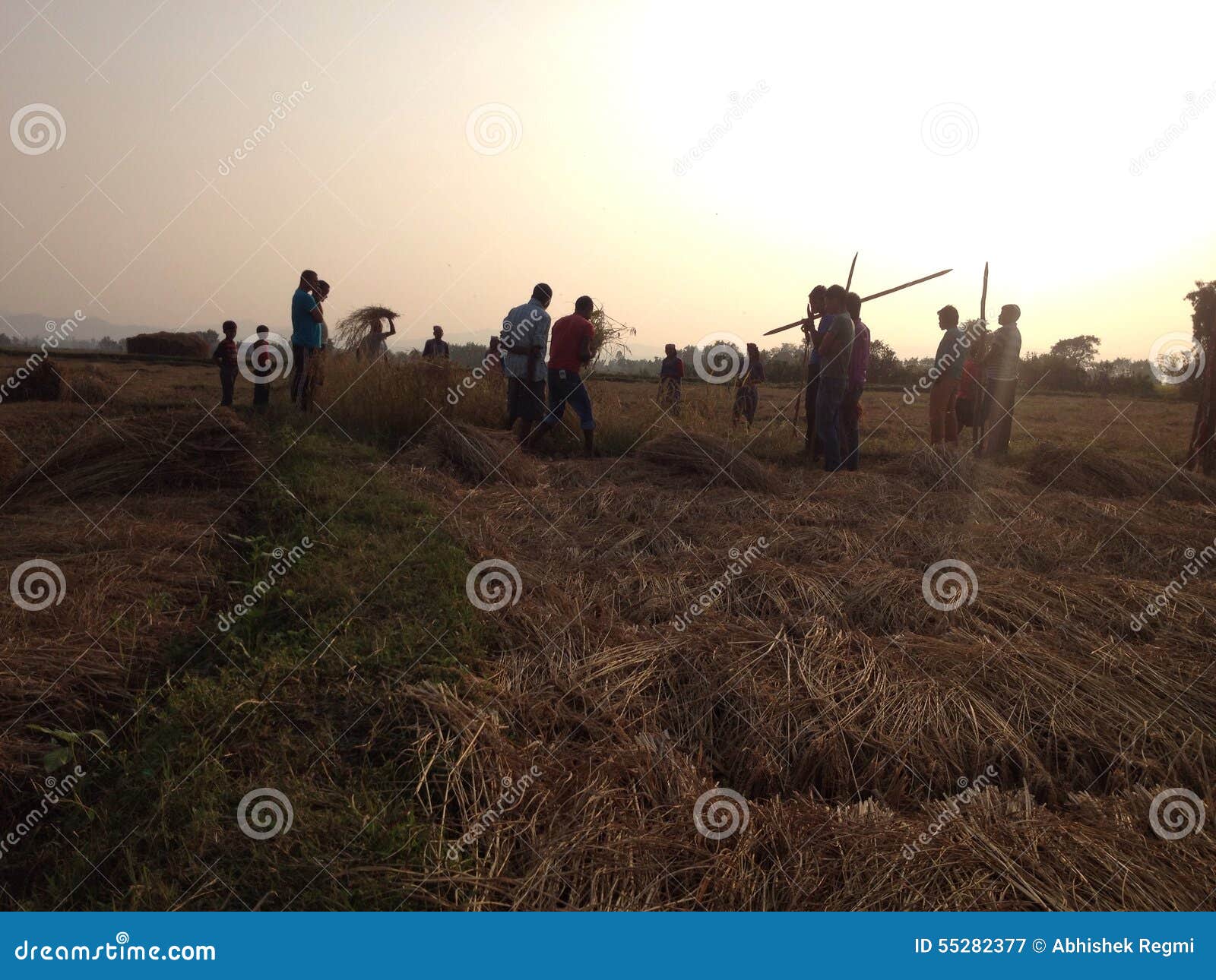 Sunset with farmer editorial photography. Image of nepal - 55282377