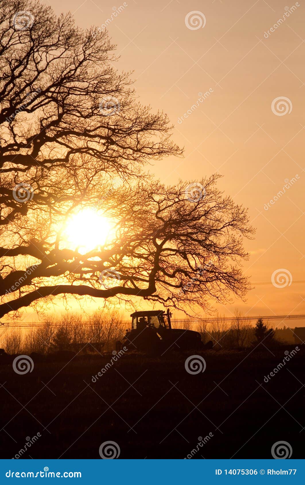 Sunset farming stock photo. Image of farming, sunset - 14075306