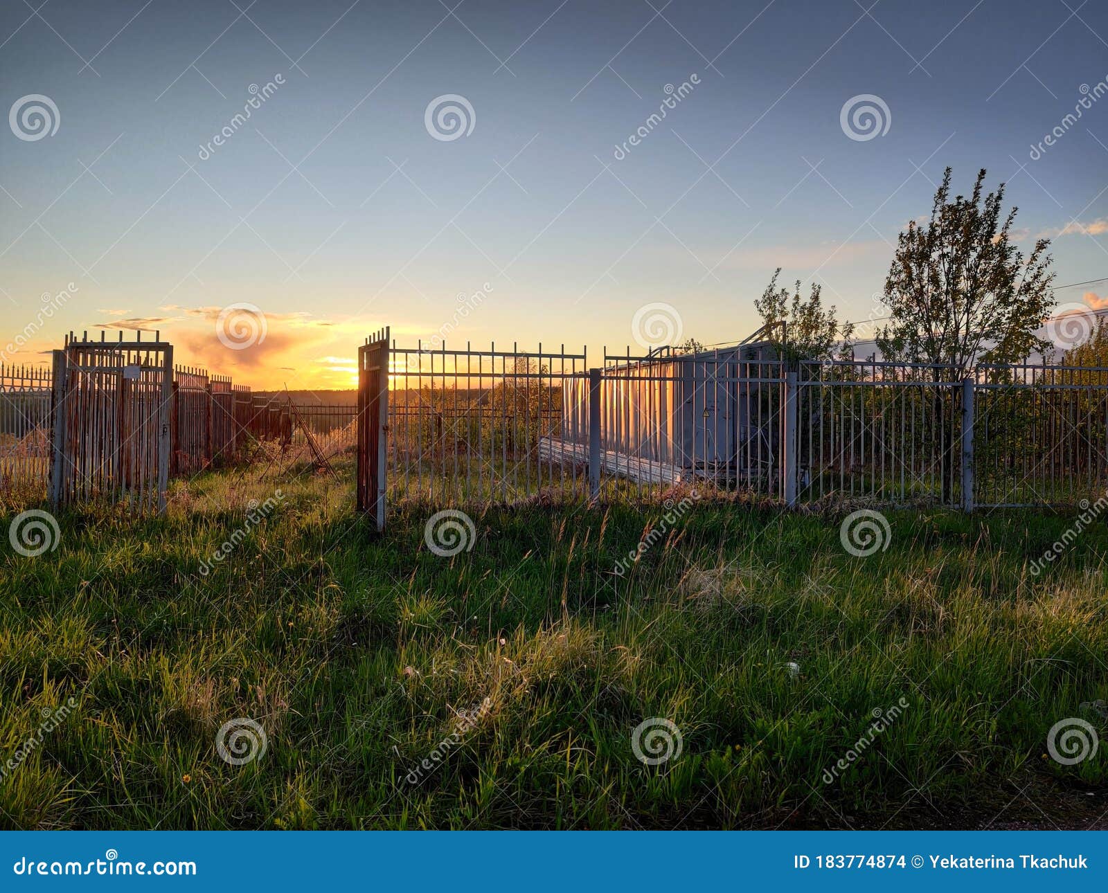 Sunset fence grass stock photo. Image of horizon, tree - 183774874