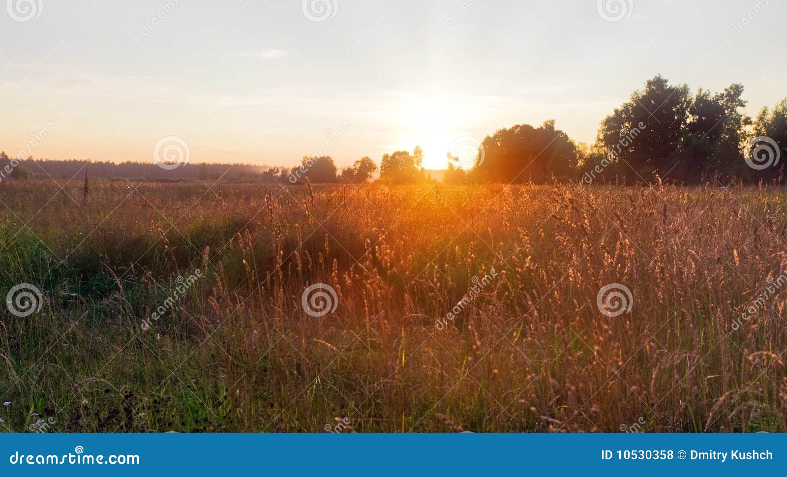 Sunset in the field stock photo. Image of beauty, environment - 10530358