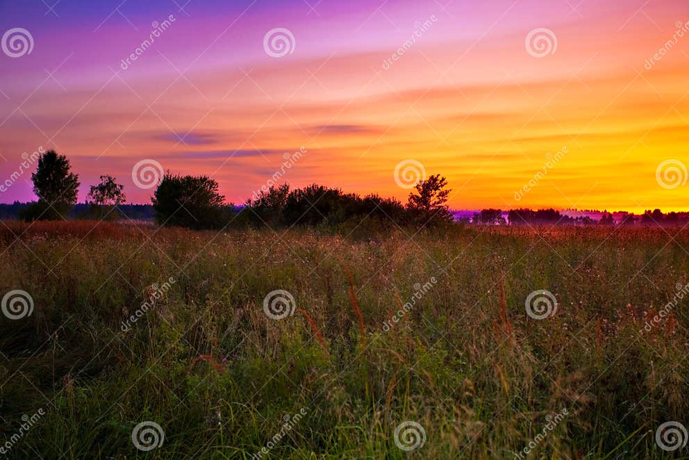 Sunset in the field stock photo. Image of blue, cloudscape - 13886558
