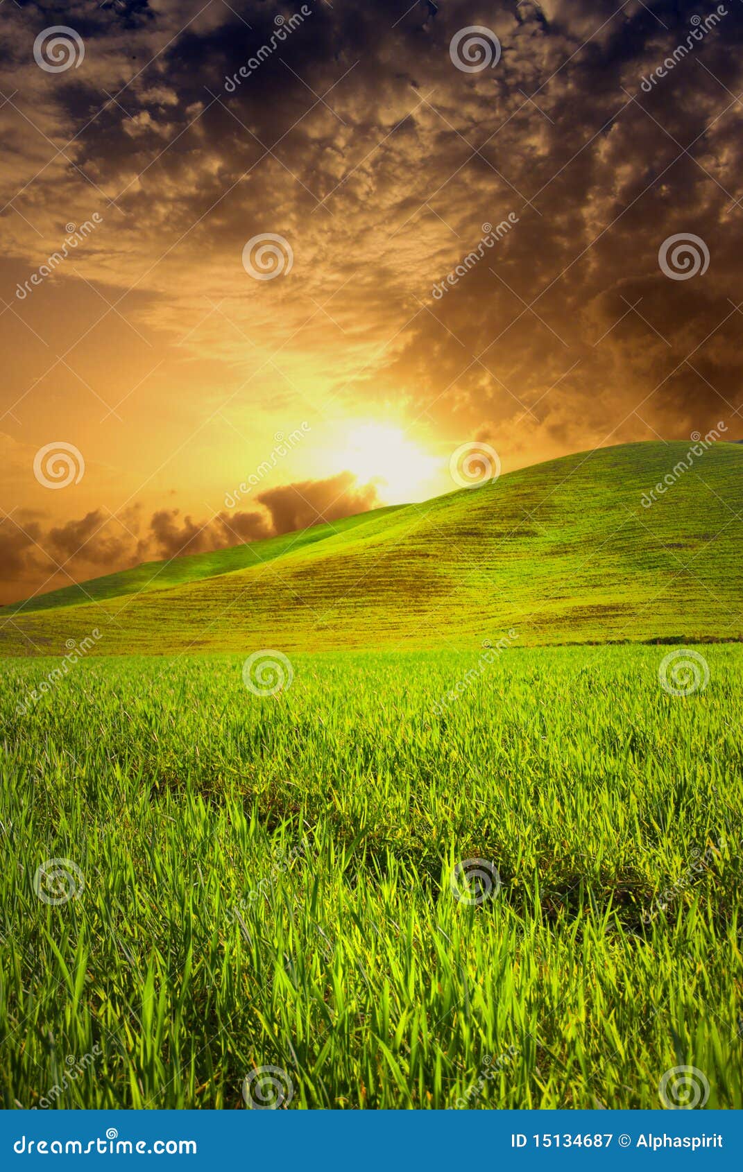 Sunset on a field stock image. Image of season, cloud - 15134687