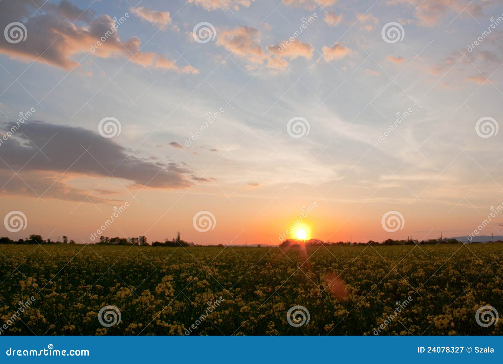 The sunset in the field stock image. Image of afternoon - 24078327