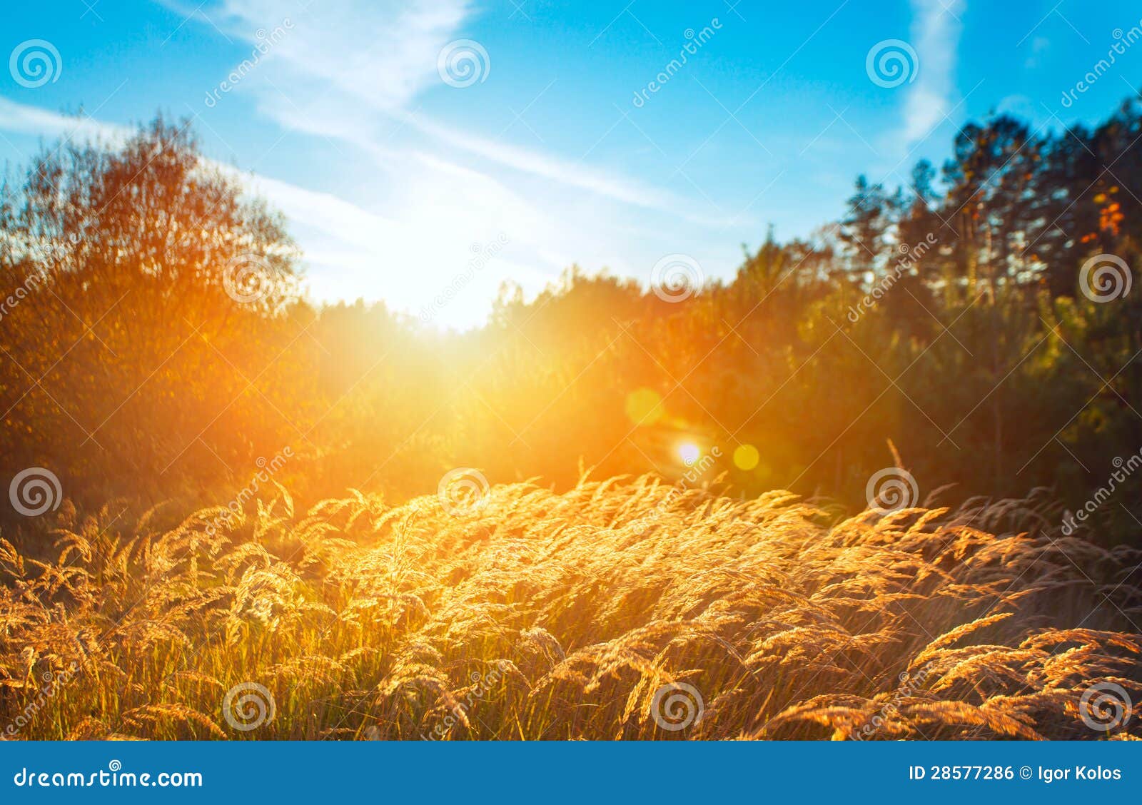 Sunset and field stock photo. Image of horizon, cloudscape - 28577286