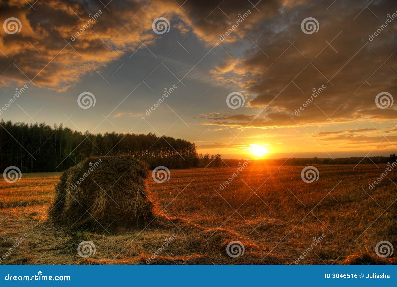 Sunset on the field stock photo. Image of village, grass - 3046516