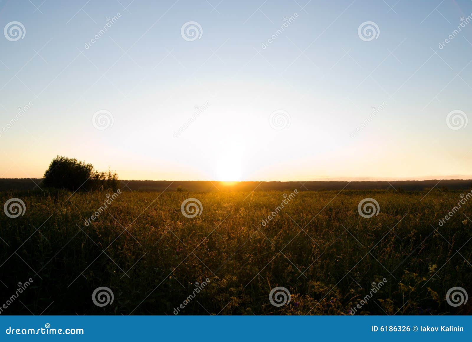 Sunset and field stock photo. Image of field, country - 6186326