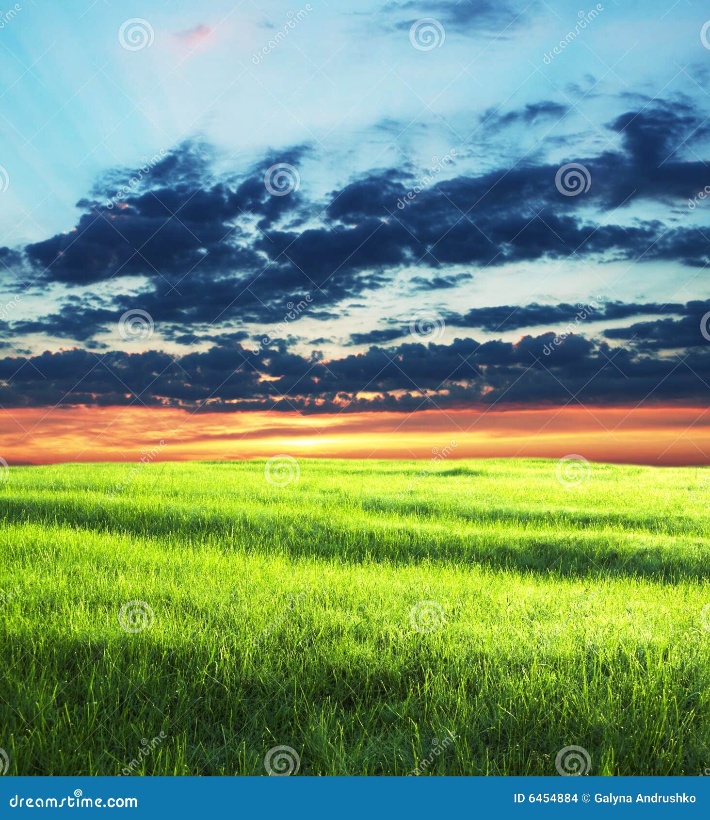 Sunset in field stock photo. Image of environment, country - 6454884