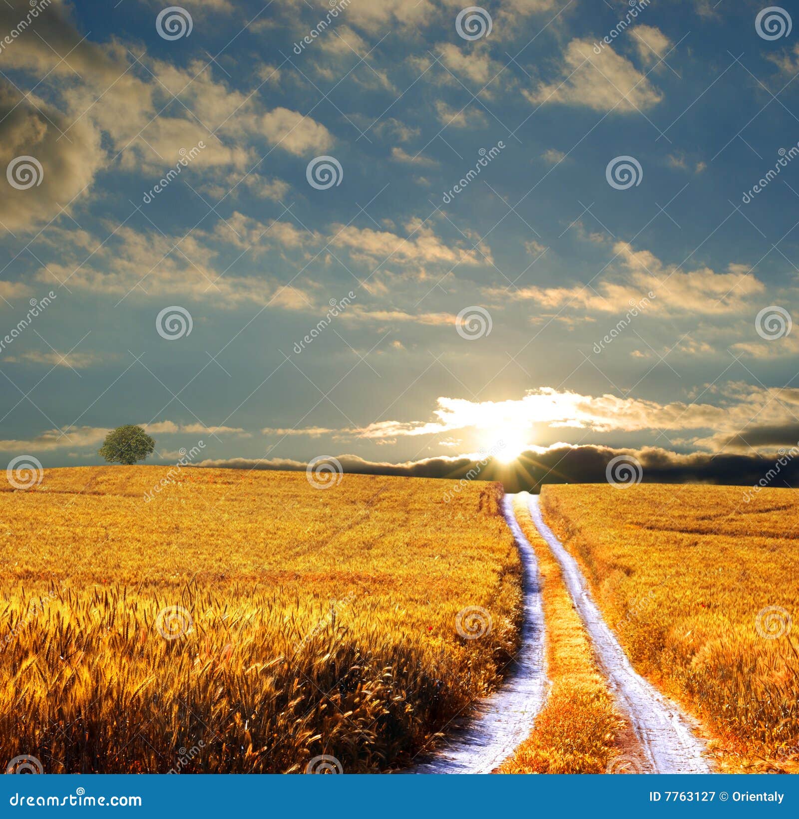 Sunset at field stock image. Image of farm, sunset, countryside - 7763127