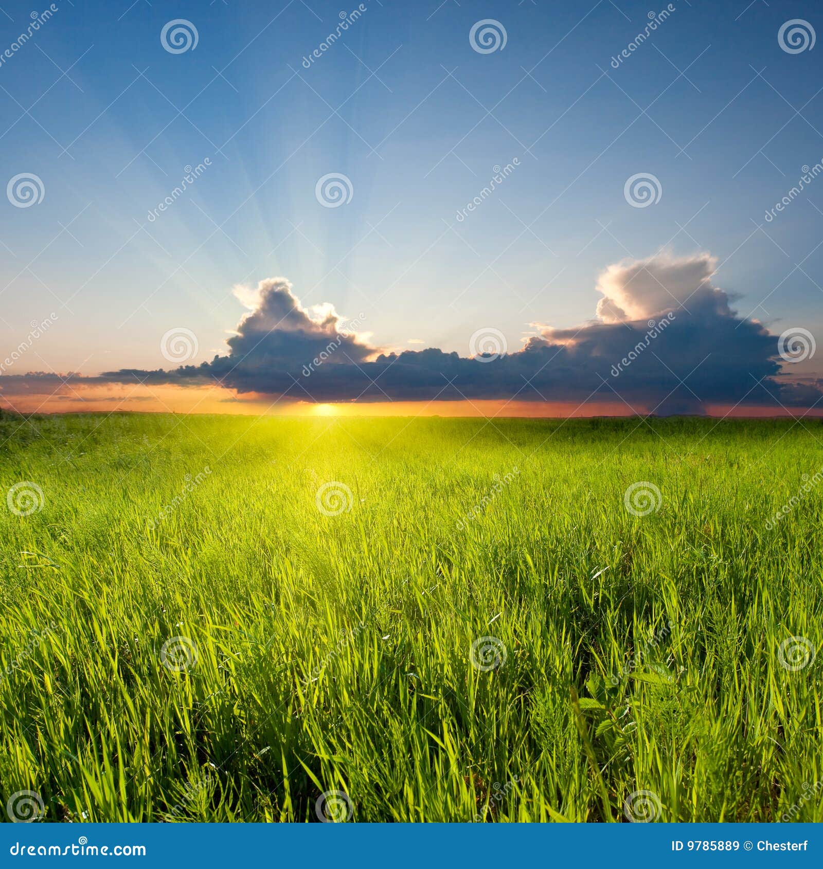 Sunset in field stock image. Image of country, plain, horizon - 9785889