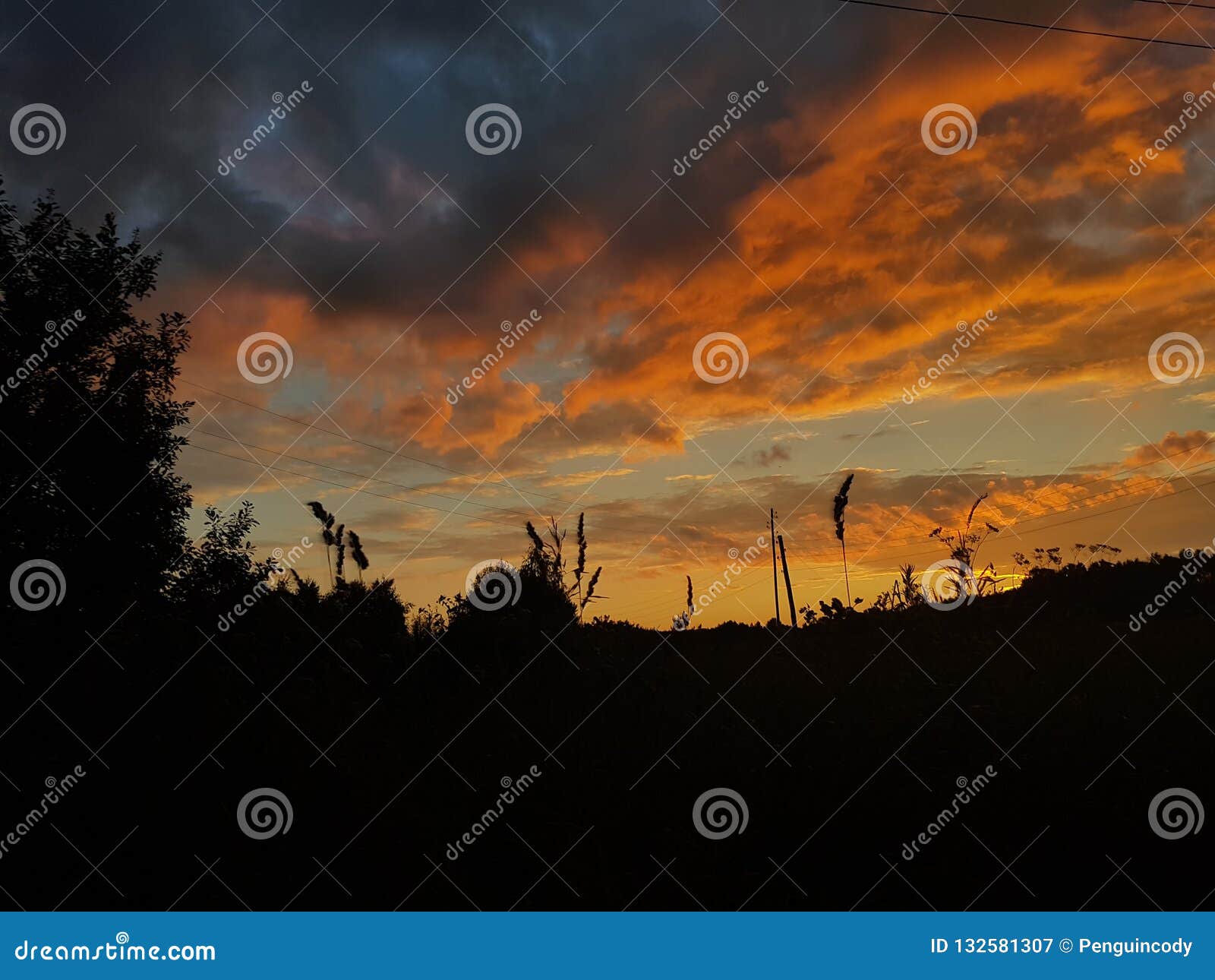Sunset in the field stock image. Image of sunset, dusk - 132581307