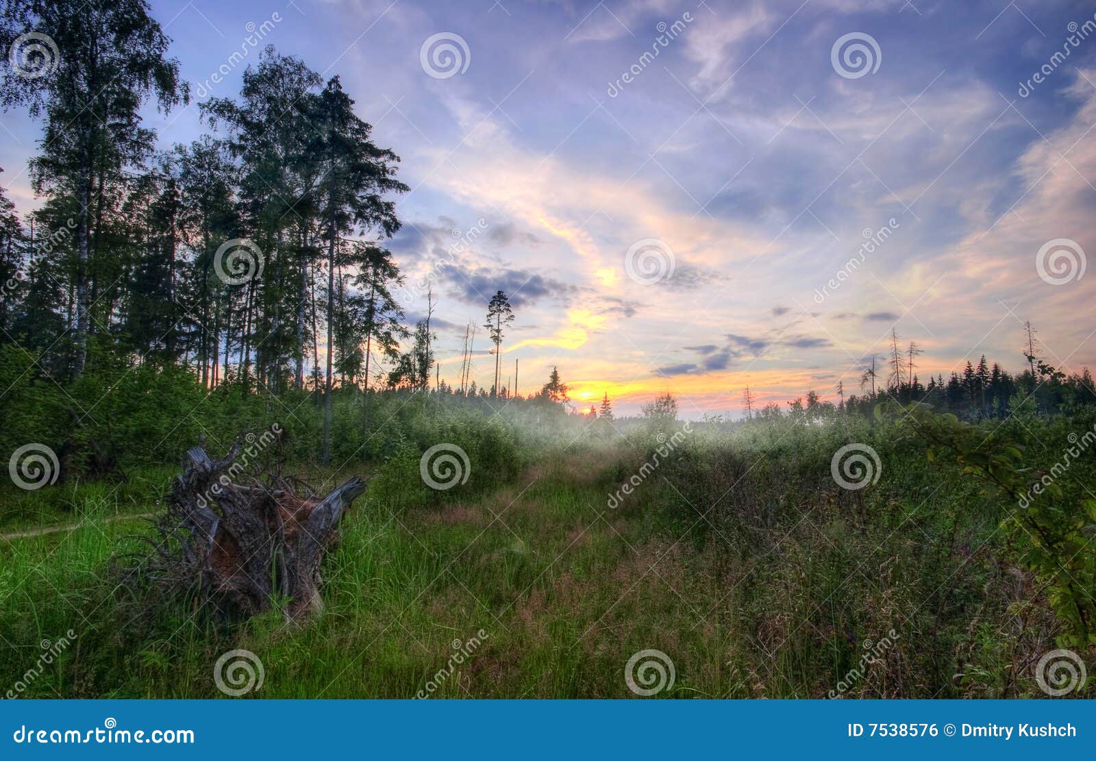Sunset field of Russia stock photo. Image of sunset, moscow - 7538576