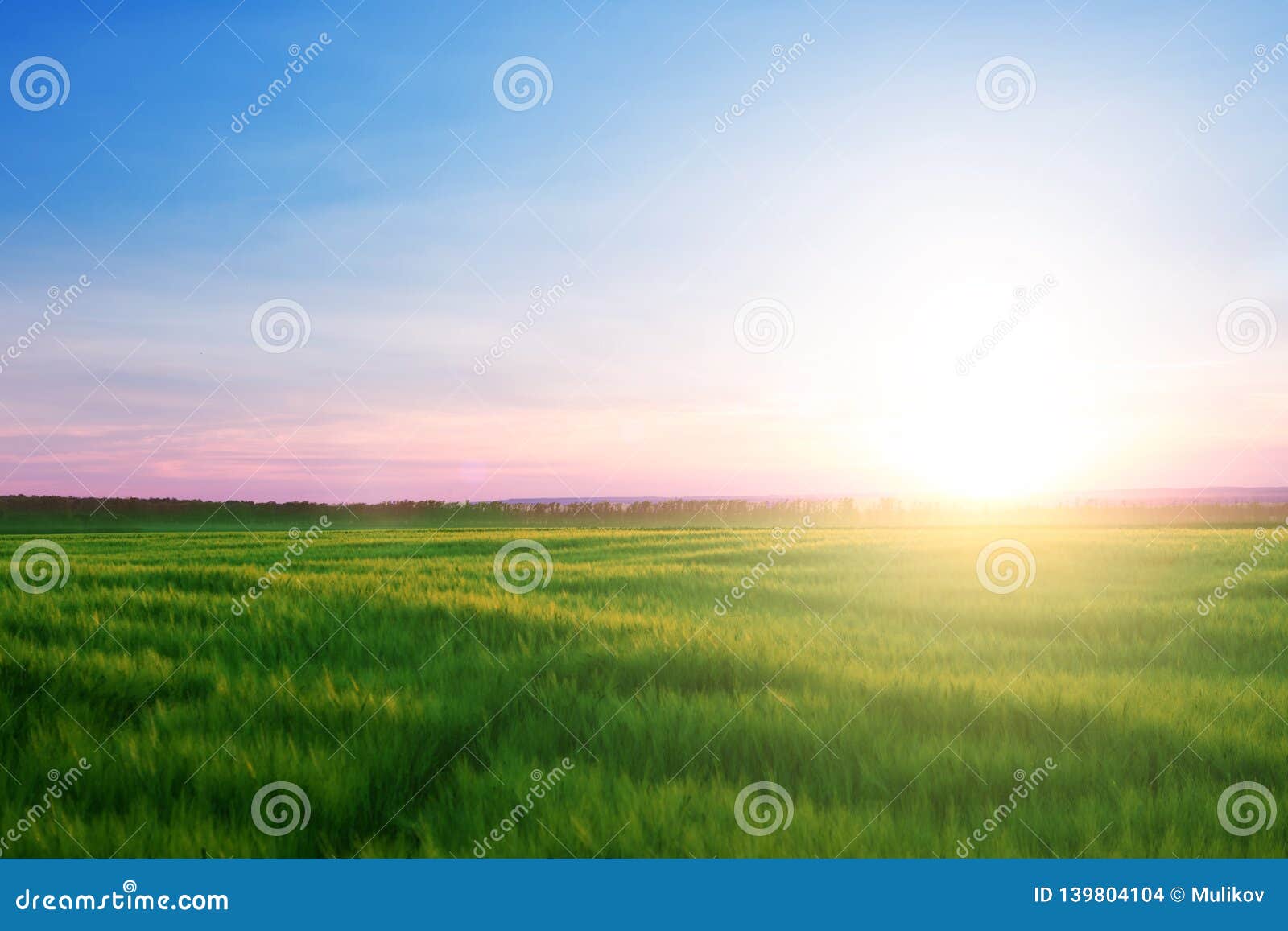 Sunset on Field. a Summer Sunset Over Grass Field Stock Photo - Image ...