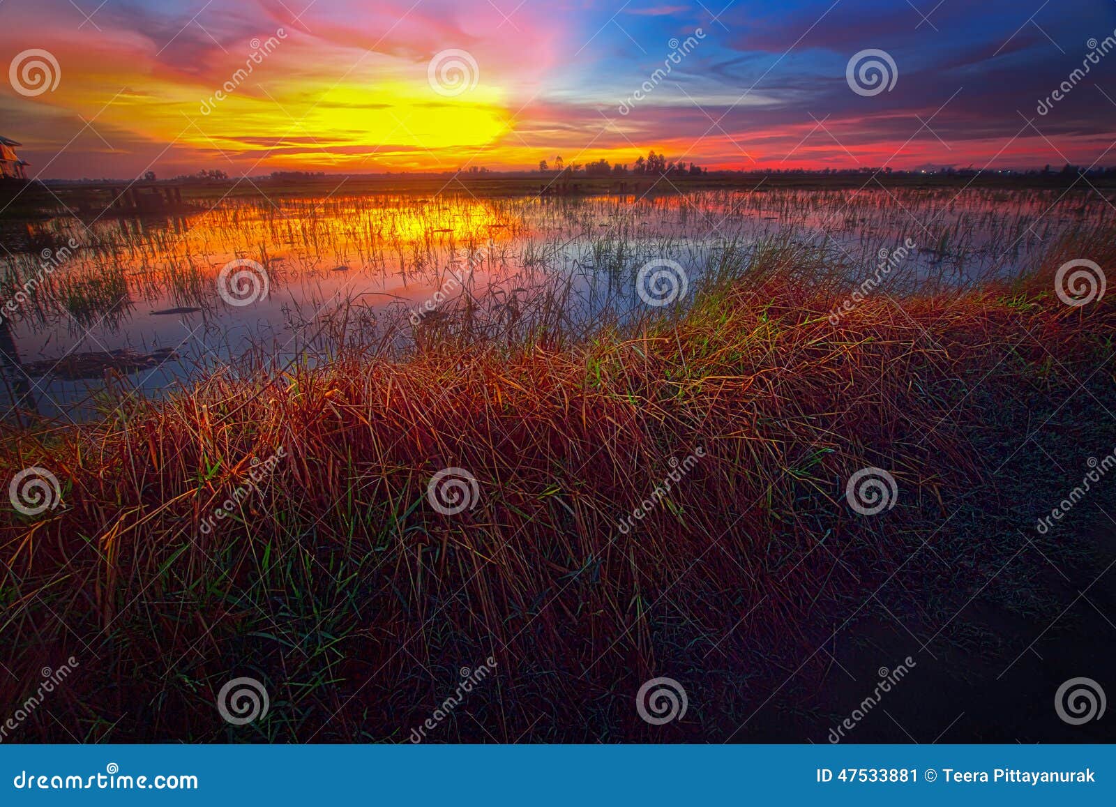 Sunset on field stock image. Image of countryside, dramatic - 47533881