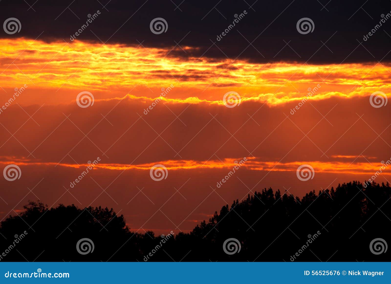 Sunset Fire red stock photo. Image of beautiful, natural - 56525676