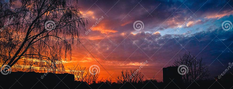 Sunset fire sky stock photo. Image of botany, beech, keywords - 56202274