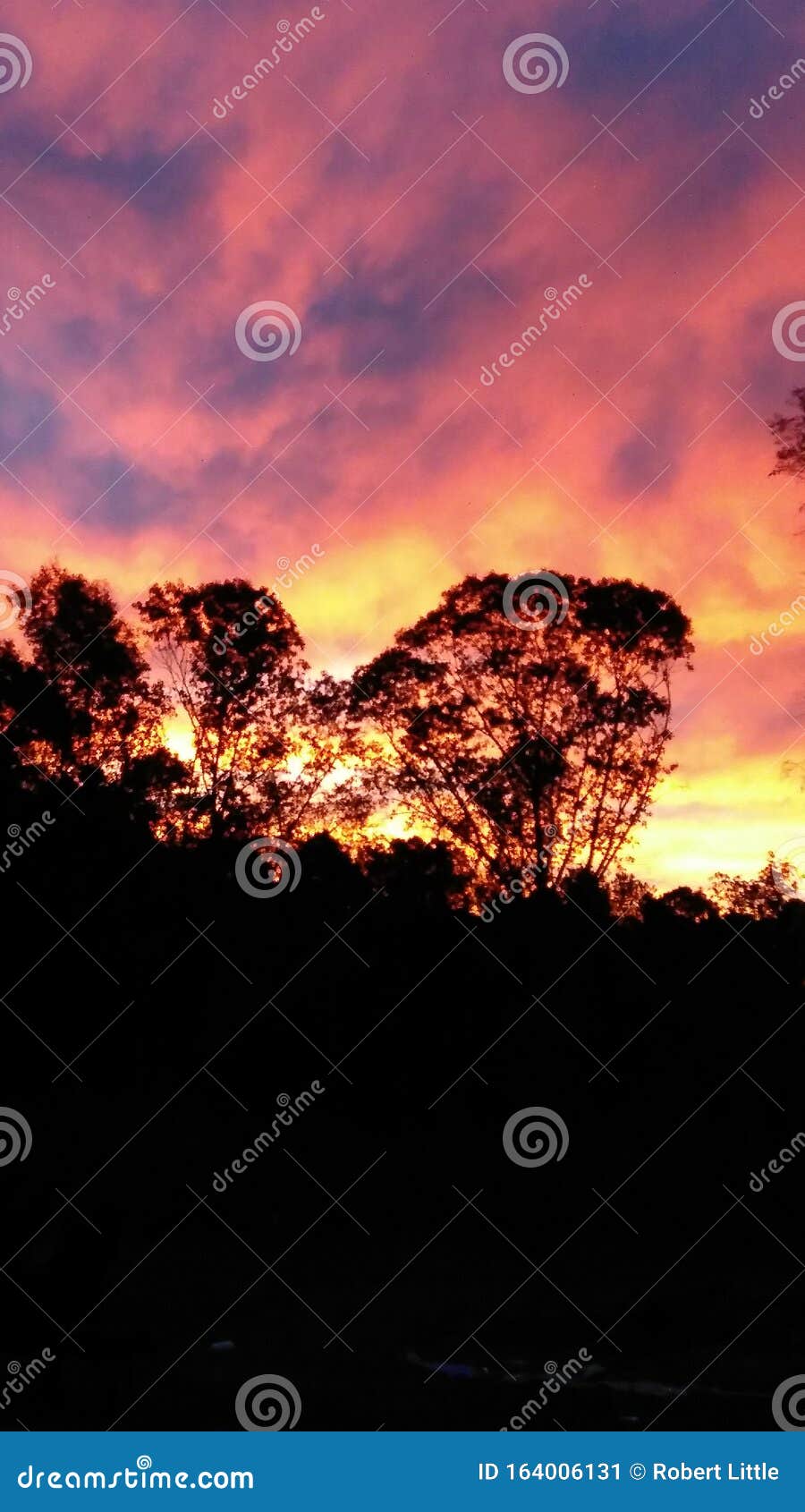 Sunset on fire stock image. Image of sunset, trees, cloud - 164006131